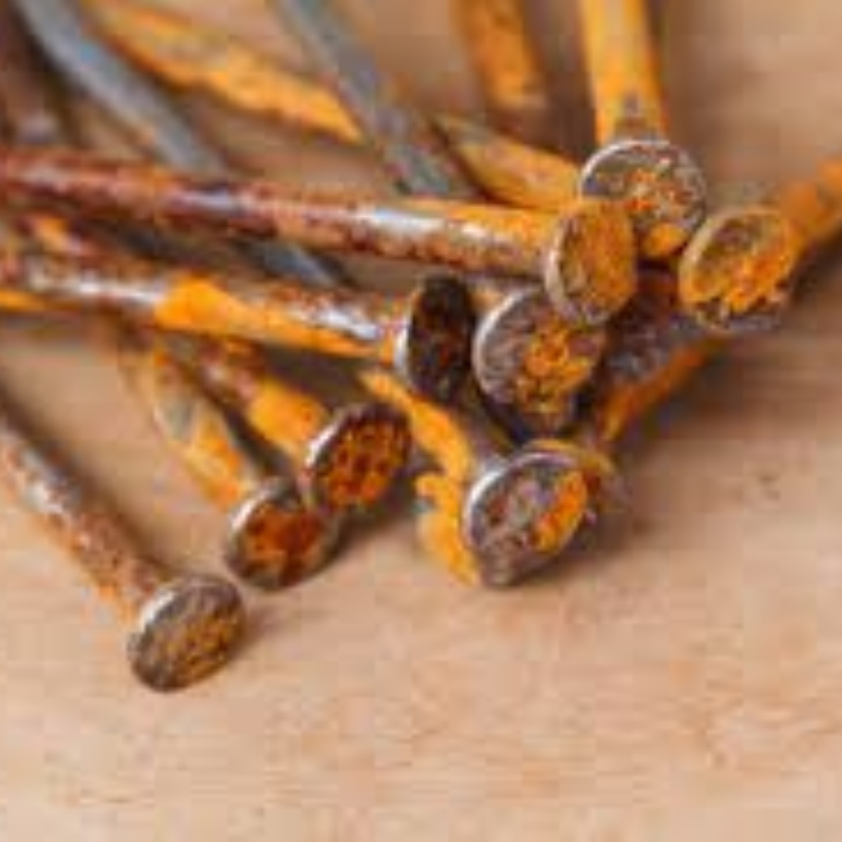 Brockenhurst C of E Primary School - Y5 Science home learning