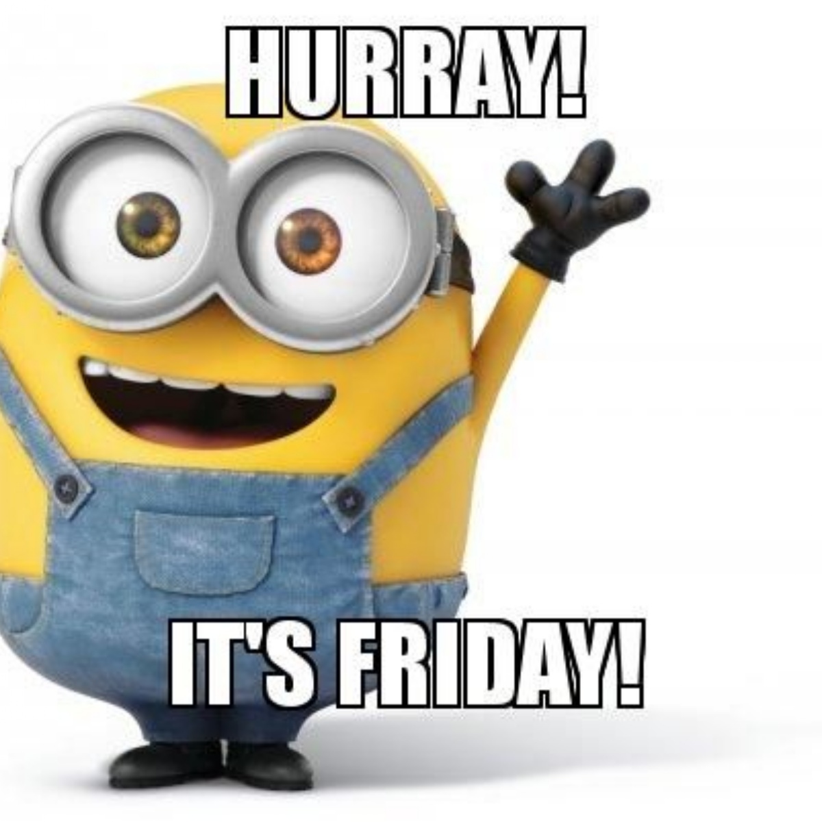 Brockenhurst C of E Primary School - Year R