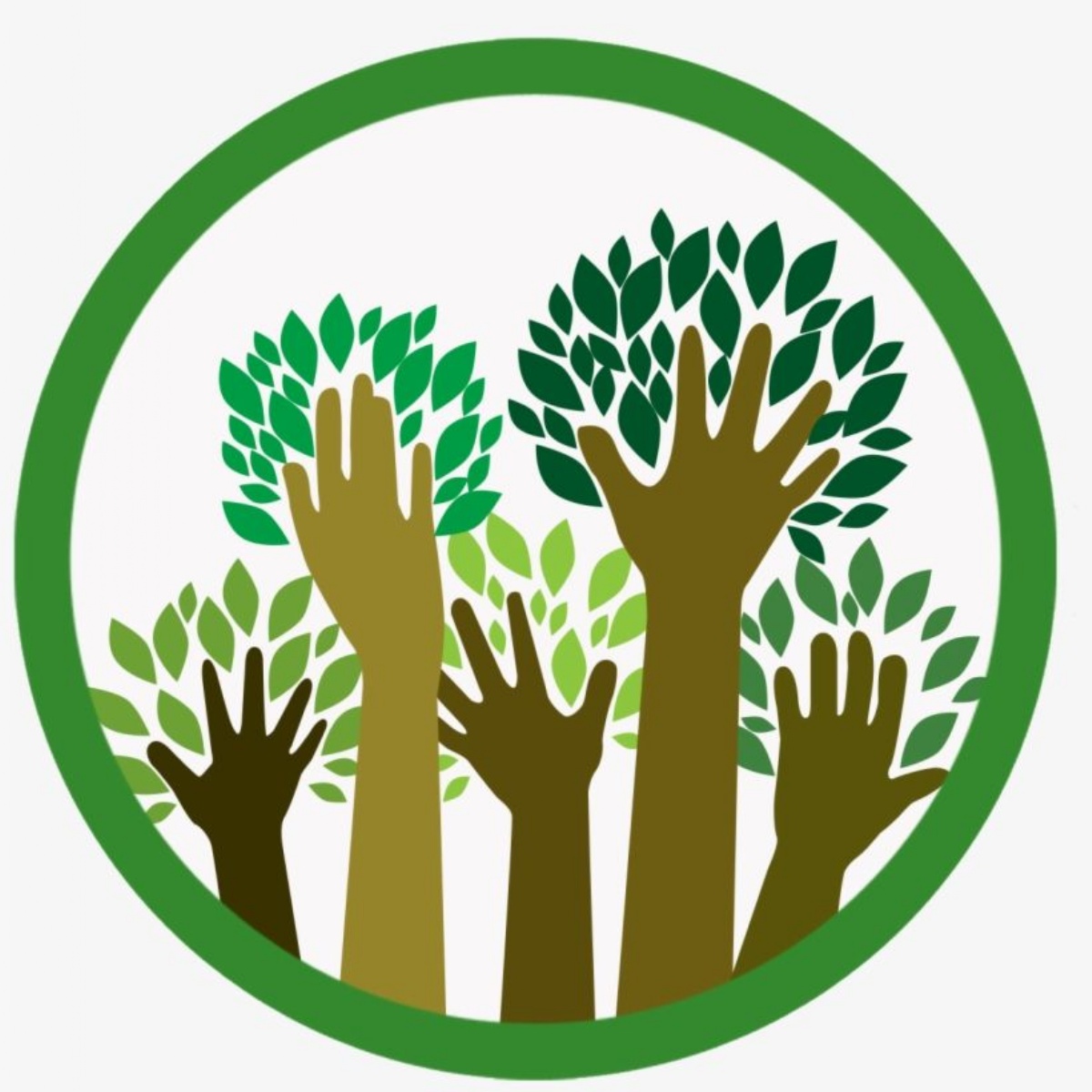 brockenhurst-c-of-e-primary-school-year-r