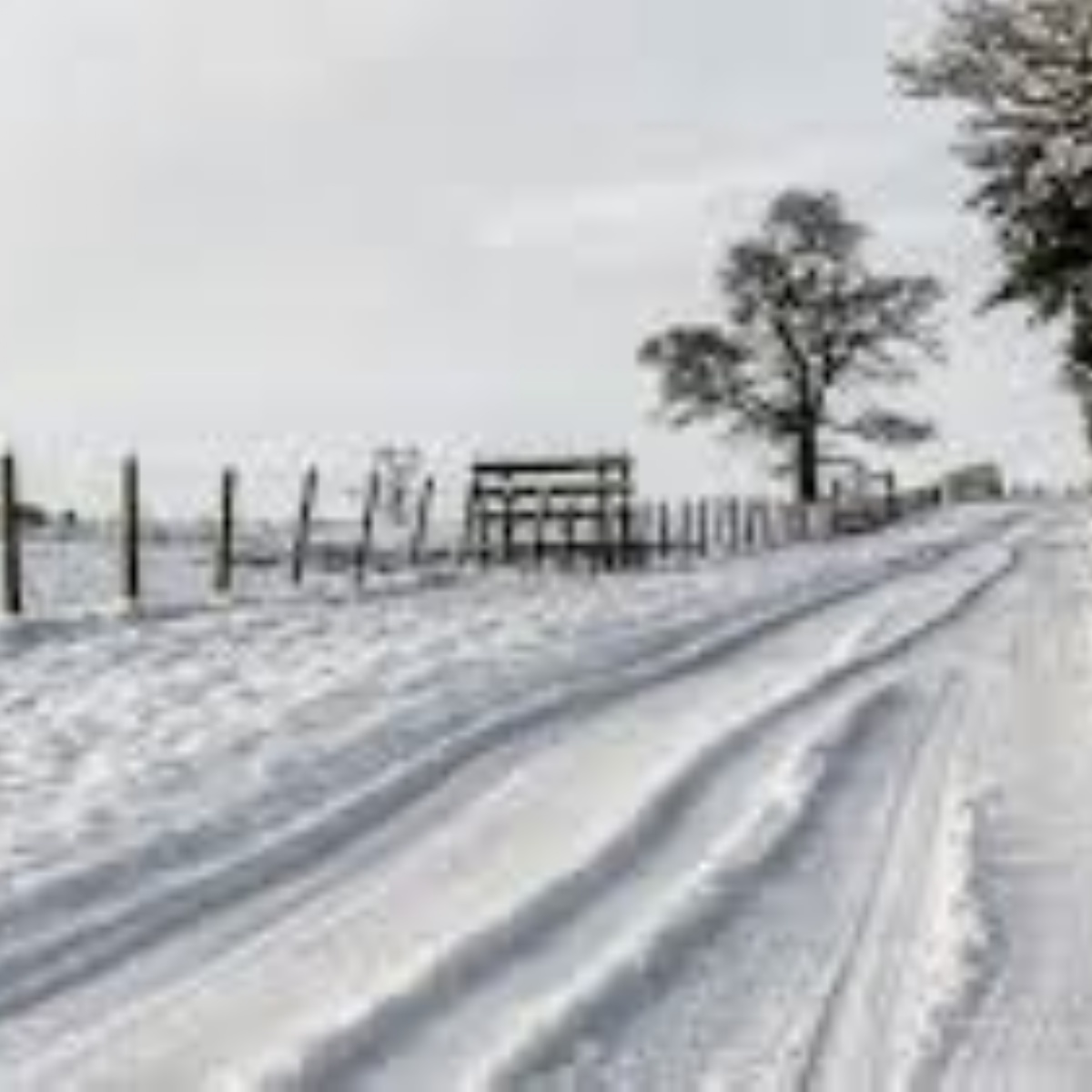 Brockenhurst C of E Primary School - SCHOOL CLOSED - 1st & 2nd March