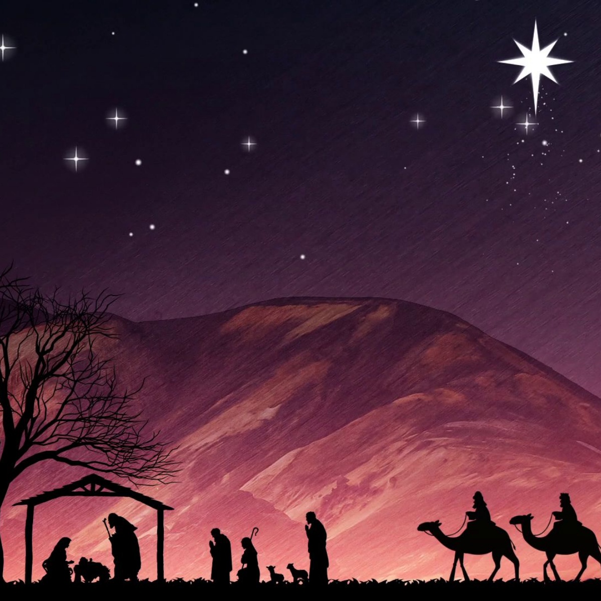 Brockenhurst C of E Primary School - KS1 Nativity